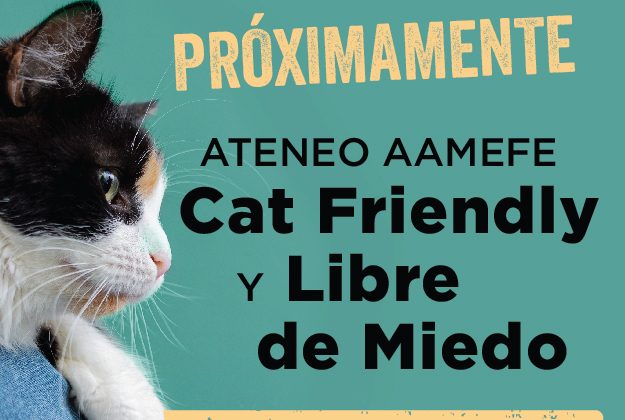 miniatura cat friendly y fear free – Aamefe