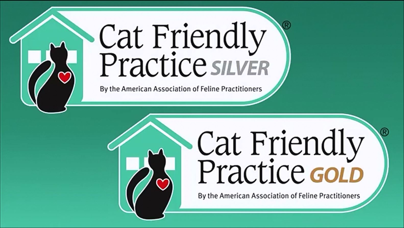 Programa Cat Friendly Practice® y Cat Friendly Certificate – AAMEFE